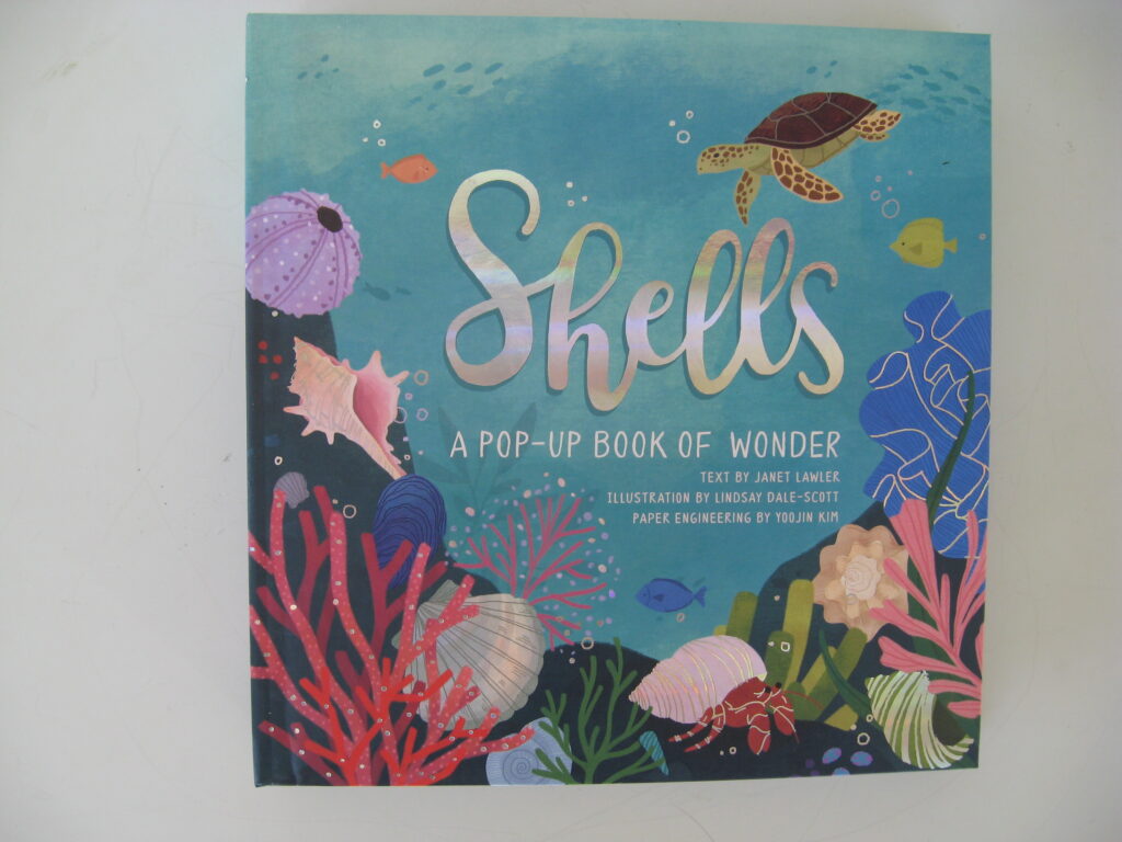 “Shells” A pop-up book 9″ x 9″ | Discover Sweden's Finest